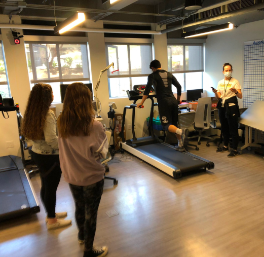 Clinical Evaluation - Motion Analysis